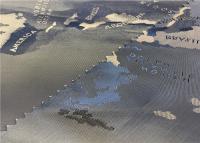 China World Map Pattern Anti Static Lining Fabric , Jacquard Garment / Bag Lining Fabric for sale