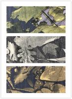 China Leaves Pattern Graphic Print Fabric Soft Light Hand Feel For Outdoor Clothing for sale
