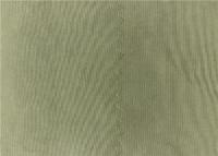 China Lightweight Nylon Stretch Fabric Excellent Elasticity For Down - Jacket for sale