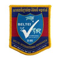 China Uniform Partial Embroidery Letter Patches Iron On Patches For School Logo for sale