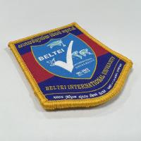 China Uniform Partial Embroidery Letter Patches Iron On Patches For School Logo for sale