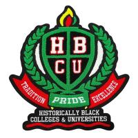 China University Chenille Embroidery Patches / Custom Varsity Jacket Patches for sale