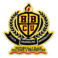 China University Chenille Embroidery Patches / Custom Varsity Jacket Patches for sale