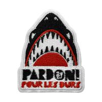 China Custom Embroidered Iron On Patches Heat Press Backing Twill Background 100pcs for sale