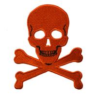 China Skull Pattern Twill Washable Iron On Embroidered Patches For Clothing for sale