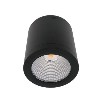 China Anti Glare 1000lm Surface Mounted Downlight 10W for sale