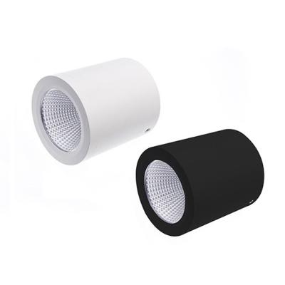 China IP44 Ceiling Mounted LED Downlight 10W 1000lm Surface Mounted Cylinder for sale