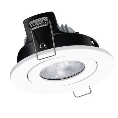 China 10W 800lumens Fire Rated IP65 Adjustable Downlight Tiltable for sale