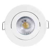 China 10W 800lumens Fire Rated IP65 Adjustable Downlight Tiltable for sale