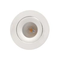 China No Noise PF0.9 Tilt LED Downlight 8W 40 Degree Gimbal Adjustable Downlight for sale