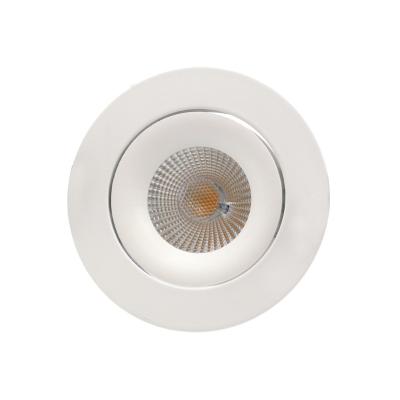 China No Noise PF0.9 Tilt LED Downlight 8W 40 Degree Gimbal Adjustable Downlight for sale