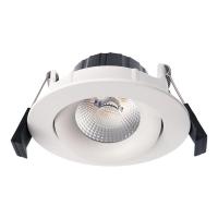 China 8W Dimmable Tilt LED Downlight 700lm 220-240V IP44 5 Year Warranty for sale