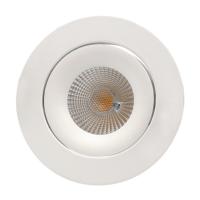 China 8W Dimmable Tilt LED Downlight 700lm 220-240V IP44 5 Year Warranty for sale
