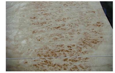 China European White Maple Burl Wood Veneer Sheets - 0.50mm Thickness, 120mm+ Width for Hotel Decoration for sale