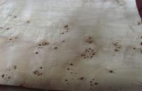 China Natural Burl Poplar Wood Veneer 0.50mm Thickness | AA/A/AB Grade | 250-700mm Length for sale