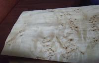 China Poplar & Elm Burl Wood Veneer Sheets 0.50mm Thickness, 250-700mm Length for Furniture & Decoration for sale