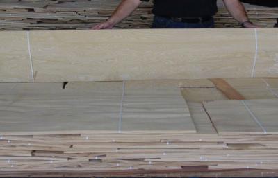 China White Ash Burl Wood Veneer 0.45mm Thickness Sliced Cut for Furniture and Interior Finishing for sale