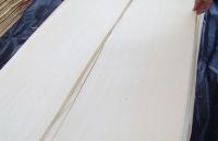 China 0.20-0.60 mm Rotary Cut Basswood Veneer for Plywood & MDF - 4'x8' Size Options with AB,B,C,D Grades for sale