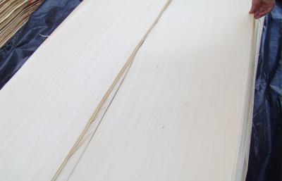 China 0.20-0.60 mm Rotary Cut Basswood Veneer for Plywood & MDF - 4'x8' Size Options with AB,B,C,D Grades for sale