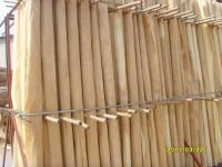 China A Grade Birch Rotary Cut Veneer 0.2mm-0.6mm Thickness for Furniture & Plywood Surface Applications for sale