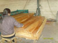 China Natural Birch Rotary Cut Veneer 0.2-0.6mm Thickness for Furniture & Plywood Surface Applications for sale