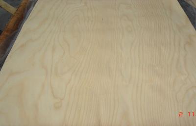 China Light Yellow Anegre Rotary Cut Veneer 0.20-0.60mm Thickness in 4'x8' Size for Furniture Manufacturing for sale