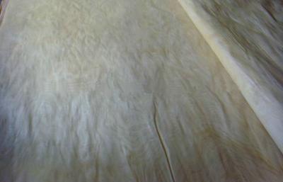 China 0.2-0.6mm Milk White Maple Rotary Cut Veneer for Plywood - 4'x8' Size Options in AB,B,C,D Grades for sale
