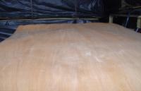 China Natural Yellow Okoume Rotary Cut Veneer 0.20-0.60mm Thickness in 4x8 and 3x7 Sizes for Furniture and Plywood for sale