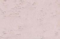 China Natural Dyed Maple Wood Veneer 0.45mm Thickness for Furniture & Plywood Decoration - 2000mm Length for sale