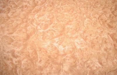 China Dyed Sliced Cut Madrona Wood Veneer Sheet 0.45mm Thickness for Plywood and Furniture Manufacturing for sale