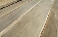 China Natural Russia White Ash Wood Veneer 0.5mm Thickness Crown Cut for Furniture 1200-3500mm Length for sale