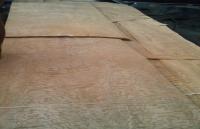 China Rotary Cut Ash Burl Wood Veneer Sheets 0.5mm Thickness for Furniture and Decoration for sale