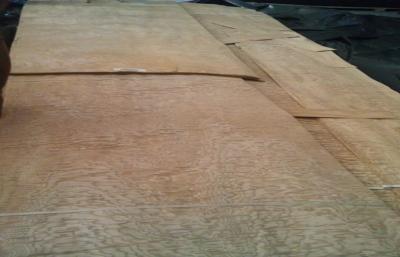 China Rotary Cut Ash Burl Wood Veneer Sheets 0.5mm Thickness for Furniture and Decoration for sale