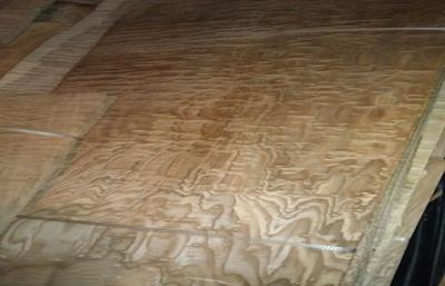 China Ash Burl Wood Veneer Panels 0.5mm Thickness 1000-2600mm Length for Furniture and Architectural Applications for sale