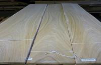 China White Oak Veneer Wood Paneling 0.5mm Thickness 1200-3000mm Length Natural Crown Cut Decorative Sheets for sale