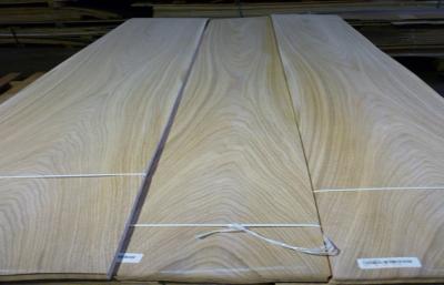 China White Oak Veneer Wood Paneling 0.5mm Thickness 1200-3000mm Length Natural Crown Cut Decorative Sheets for sale