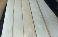 China 0.45mm Basswood Quarter Cut Veneer - 1200-3000mm Length, Milk White Natural Wood for Furniture & Plywood for sale