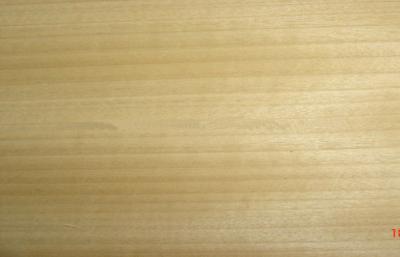 China 0.5mm Golden Teak Quarter Cut Veneer with Fine Straight Grain - 2000mm Length, 100mm Width for Furniture & Plywood for sale