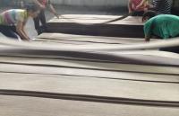 China American Walnut Wood Veneer Sliced Cut 0.5mm Thickness for Furniture and Architectural Paneling 1200mm+ Length for sale