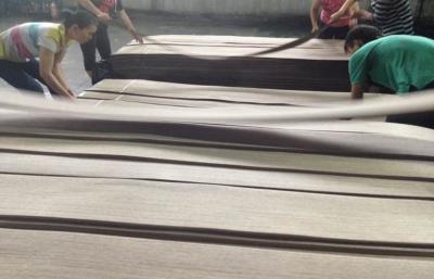 China American Walnut Wood Veneer Sliced Cut 0.5mm Thickness for Furniture and Architectural Paneling 1200mm+ Length for sale