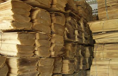 China Natural Ash Thin Crown Cut Veneer 0.15mm-0.3mm Wet Veneer for Furniture & Plywood - 1500mm/2500mm Lengths for sale
