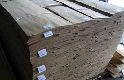 China 0.45mm Russian Oak Crown Cut Veneer for Furniture and Plywood - 1200mm Length, 100mm Width Natural Wood for sale