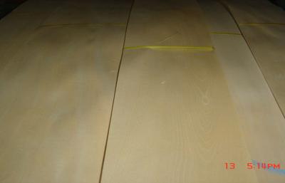 China Golden Birch Hard Crown Cut Veneer 0.45mm Thickness for Edge Banding and Plywood Applications for sale