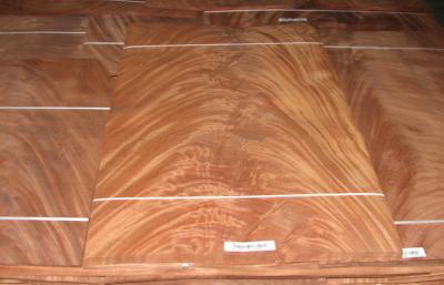 China Dard Red Crown Cut Mohagany Crotch Veneer 0.45mm Thickness 1000mm+ Length Natural Wood for Hotel Decoration for sale