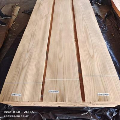 China American Red Oak Natural Veneer Sheets 0.5mm Crown Cut for Plywood Furniture for sale