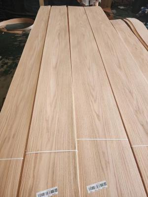 China American Red Oak Veneer Sheets Crown Cut 0.5mm for Plywood MDF Chipboard for sale