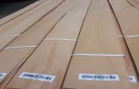 China Steamed Beech Sliced Veneer C Grade 0.5mm Thickness for Furniture Surface 500-3500mm Length for sale