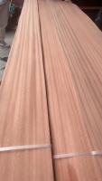 China Sliced Natural Quarter Cut Pink Sapelli Veneer Sheet 0.45mm for Plywood for sale