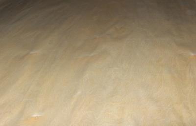 China Crown Cut Birch Wood Veneer Golden 0.5mm Thickness 1220x2440mm for Wall Panels and Furniture for sale