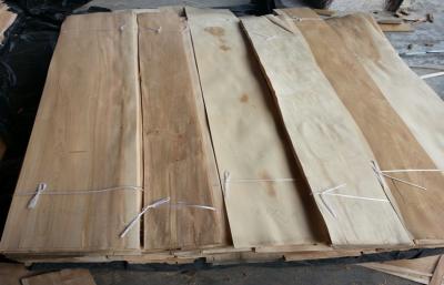 China Natural 0.50mm Thickness Sliced Maple Wood Veneer for Doors - 500-2800mm Length, Crown Cut Grain for sale